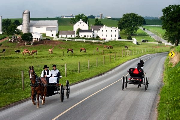 North America – The Amish and Mennonites – FAMILY HISTORY – A Lifetime ...