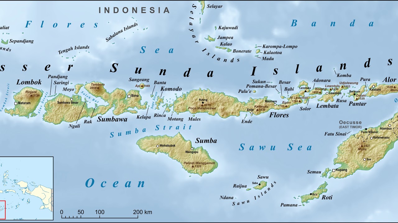 WW2 – FAMILY HISTORY – A Lifetime of Research